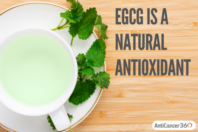 The Amazing AntiCancer Potential of Green Tea