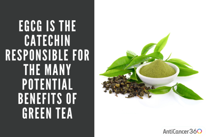 The Amazing AntiCancer Potential of Green Tea