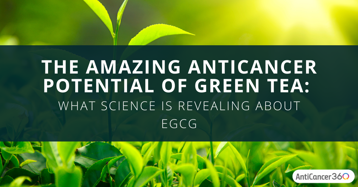 The Amazing AntiCancer Potential of Green Tea