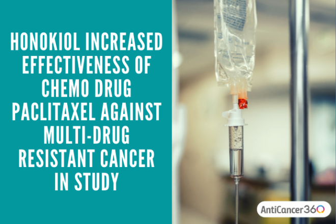 Can Magnolia Bark Help Fight Brain Cancer? What Research Reveals About ...