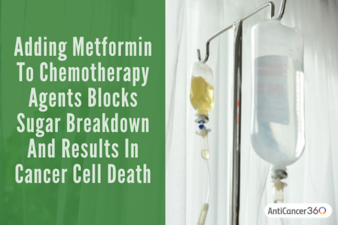 The Amazing Anticancer Benefits of Metformin: What is it and How Can it ...