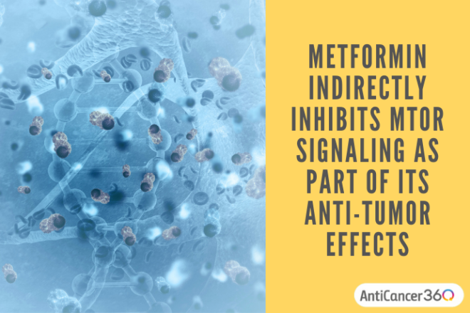 The Amazing Anticancer Benefits of Metformin: What is it and How Can it ...