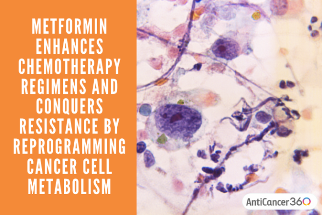 The Amazing Anticancer Benefits of Metformin: What is it and How Can it ...