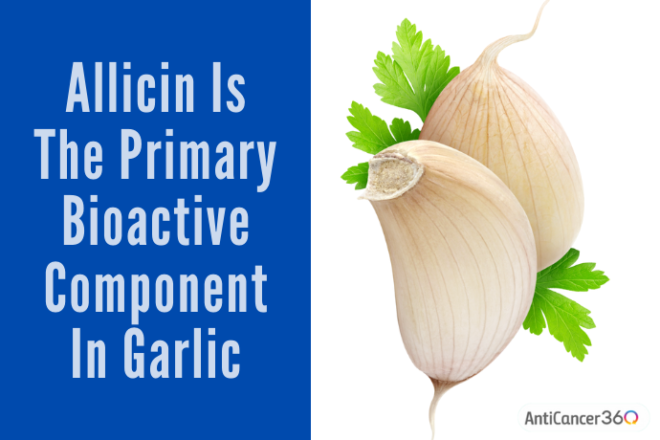 A Taste of Garlic: Its Tremendous AntiCancer Potential, And How To Use It
