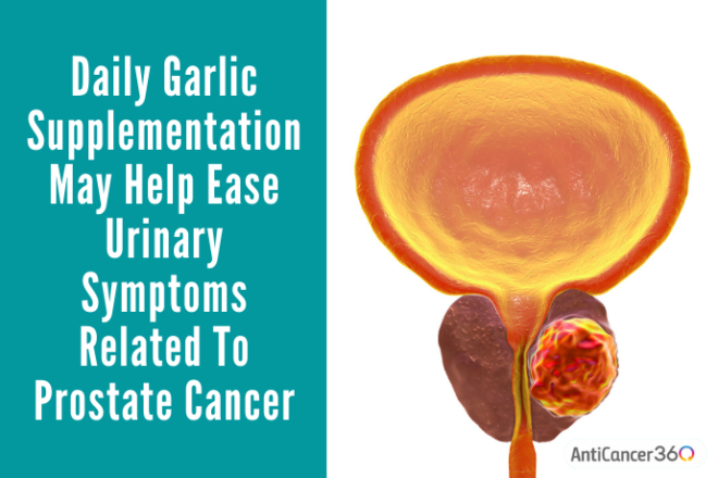 A Taste of Garlic: Its Tremendous AntiCancer Potential, And How To Use It