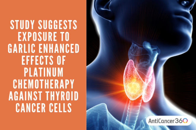 A Taste of Garlic: Its Tremendous AntiCancer Potential, And How To Use It