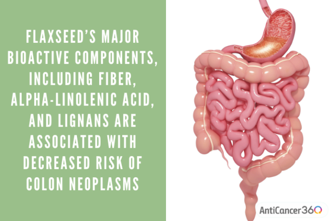 What to Know About Flaxseed and Cancer: Benefits and Risks