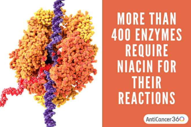 How Niacin Helps Win the Fight Against Advanced Stage Cancers