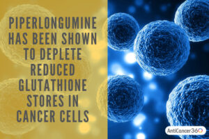 Can A Pepper Plant Provide Anticancer Effects? What The Research Shows ...