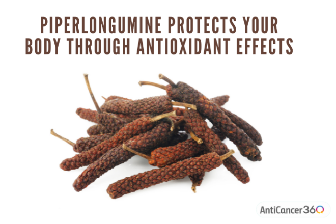 Can A Pepper Plant Provide Anticancer Effects? What The Research Shows ...