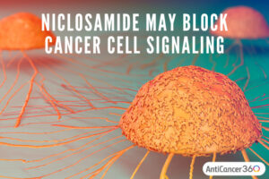 Niclosamide and Cancer: Latest Research and Findings
